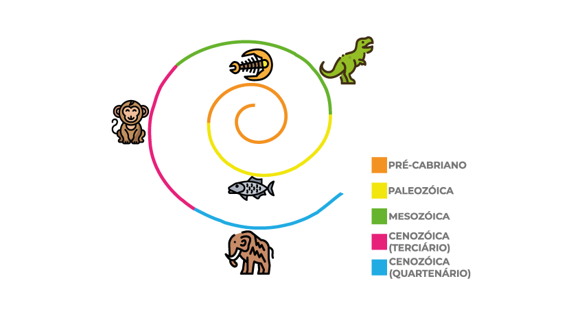 Eras geológicas | Realize - Tutoria Educacional